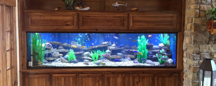 Custom Aquariums - Acrylic & Glass Fish Tanks