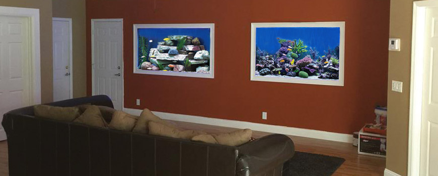 Custom Aquariums - Acrylic & Glass Fish Tanks