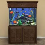 120 Gallon Fish Tank - 120 Gallon Aquarium - Custom Aquariums