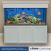 180 Gallon Aquarium - Glass Fish Tank - Custom Aquariums