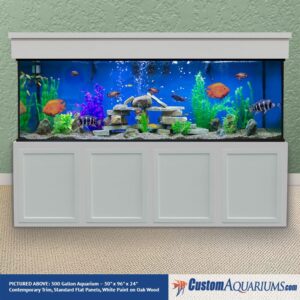 300 Gallon Aquarium - Custom Glass Fish Tank - Custom Aquariums