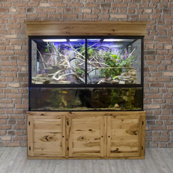 Amphibious Aquariums & Paludariums - Custom Aquariums