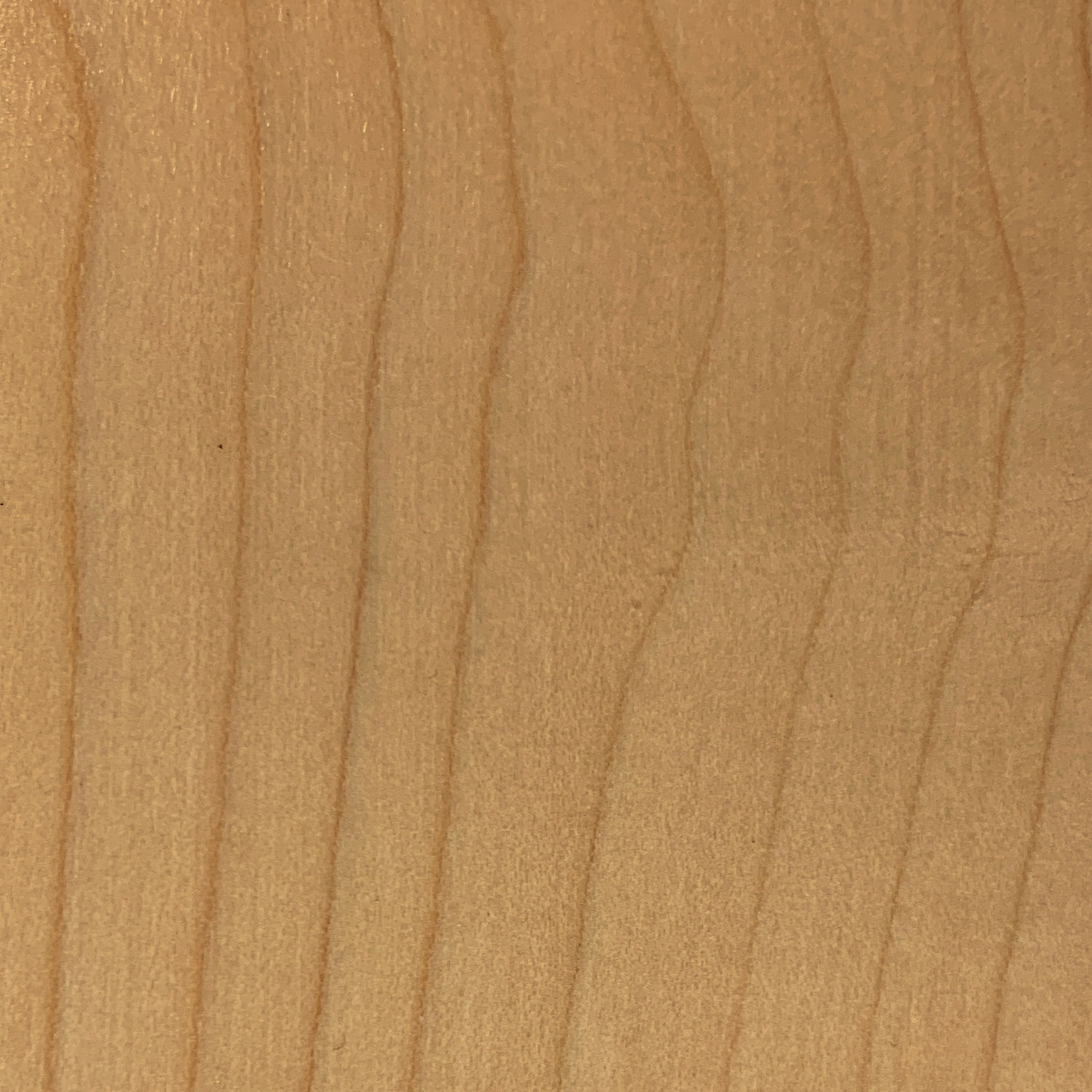 Majestic® Aquarium Stands & Canopies - Custom Aquariums