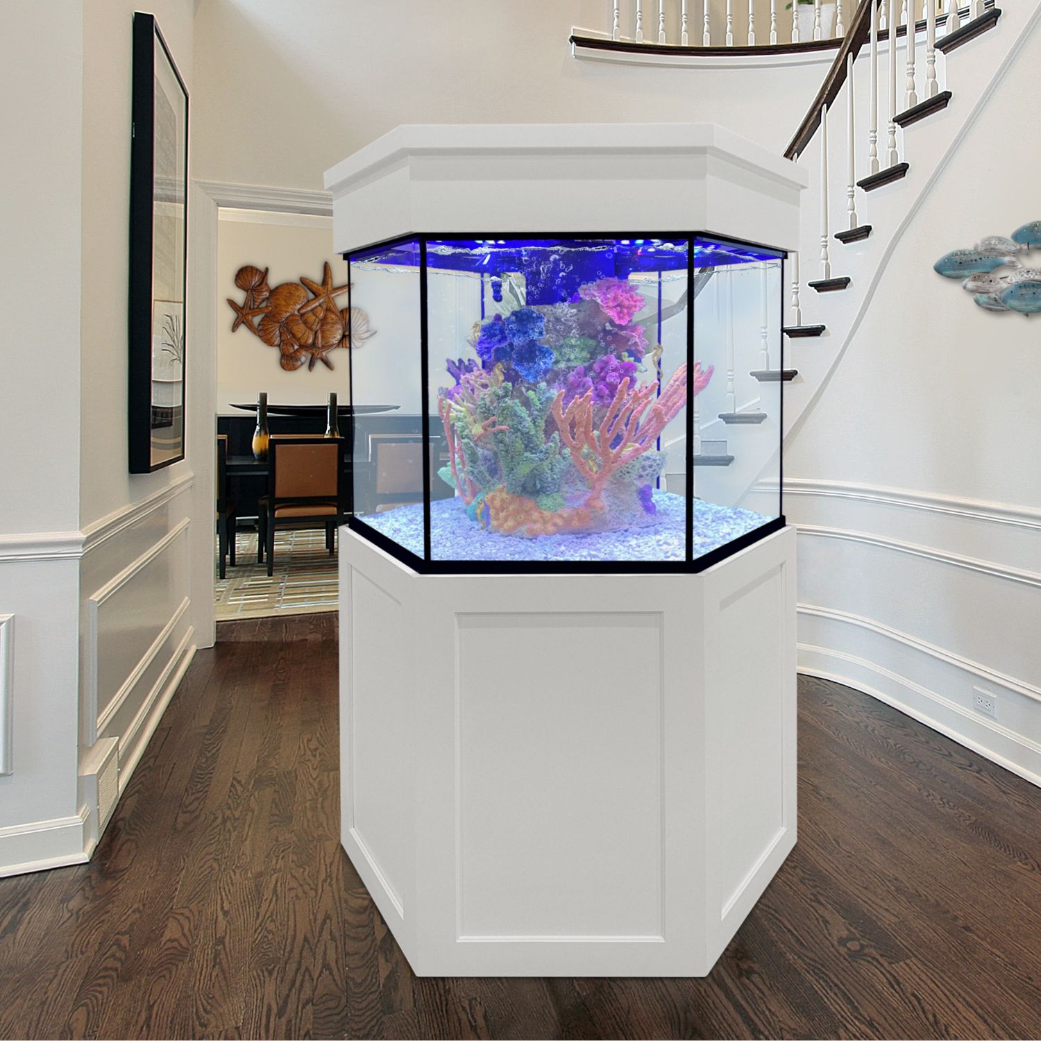 Saltwater Aquariums - Saltwater Fish Tanks - Custom Aquariums