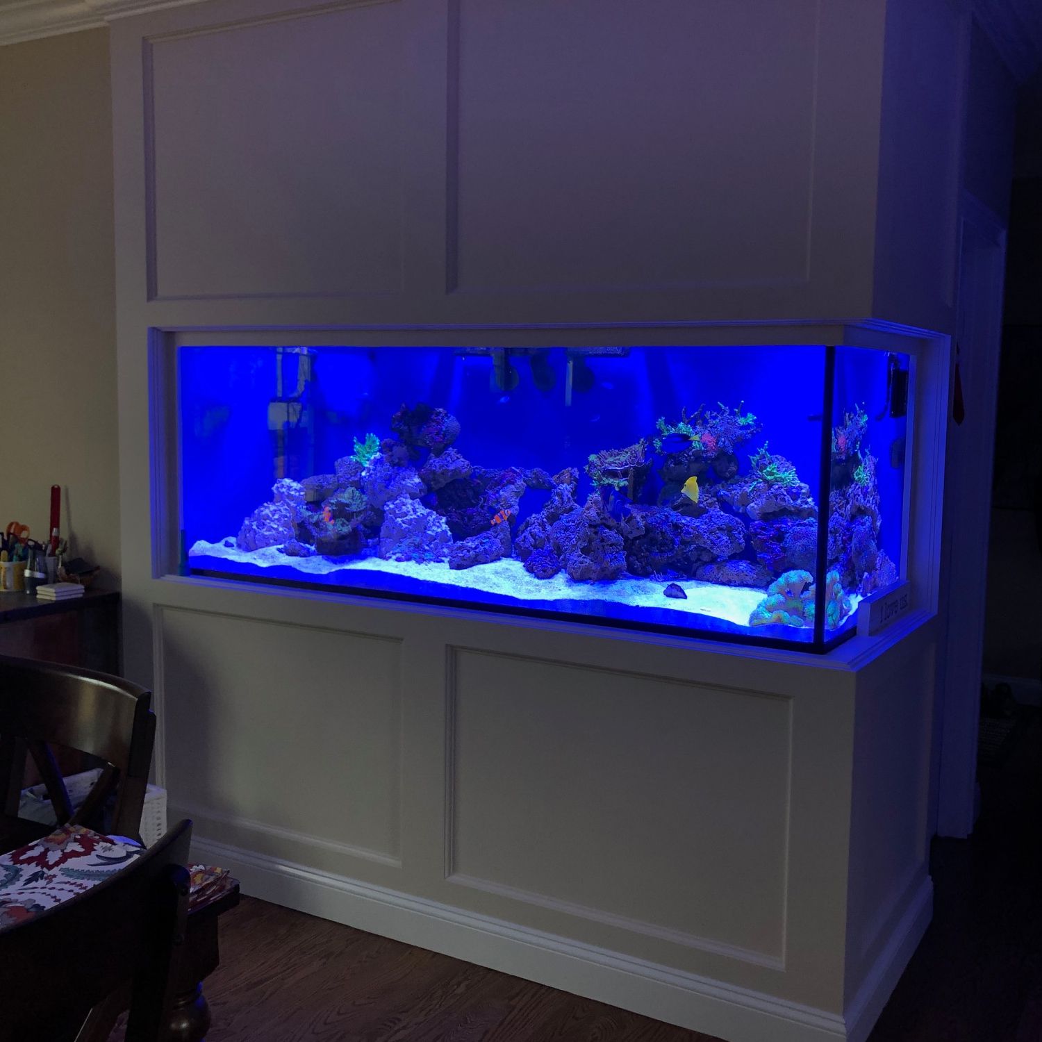 Saltwater Aquariums - Saltwater Fish Tanks - Custom Aquariums