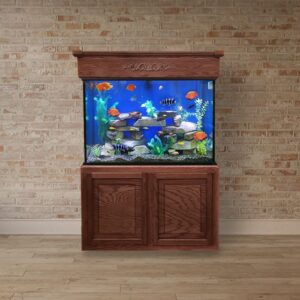 180 Gallon Saltwater Aquarium - Custom Glass Fish Tank - Custom Aquariums