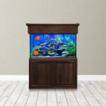 120 Gallon Fish Tank - 120 Gallon Aquarium - Custom Aquariums