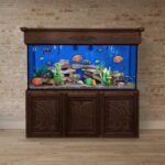 180 Gallon Aquarium - Glass Fish Tank - Custom Aquariums