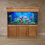 180 Gallon Aquarium - Glass Fish Tank - Custom Aquariums
