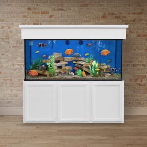 180 Gallon Aquarium - Glass Fish Tank - Custom Aquariums