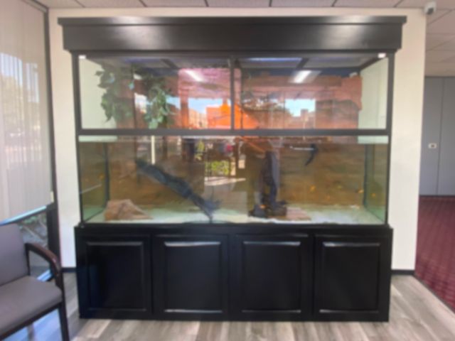 Paludariums - Custom Aquariums